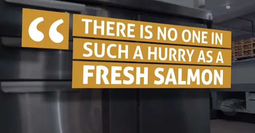 CodeIT - The Innovative Traceability Platform | Why Cermaq chose CodeIT Enterprise for new smart ...