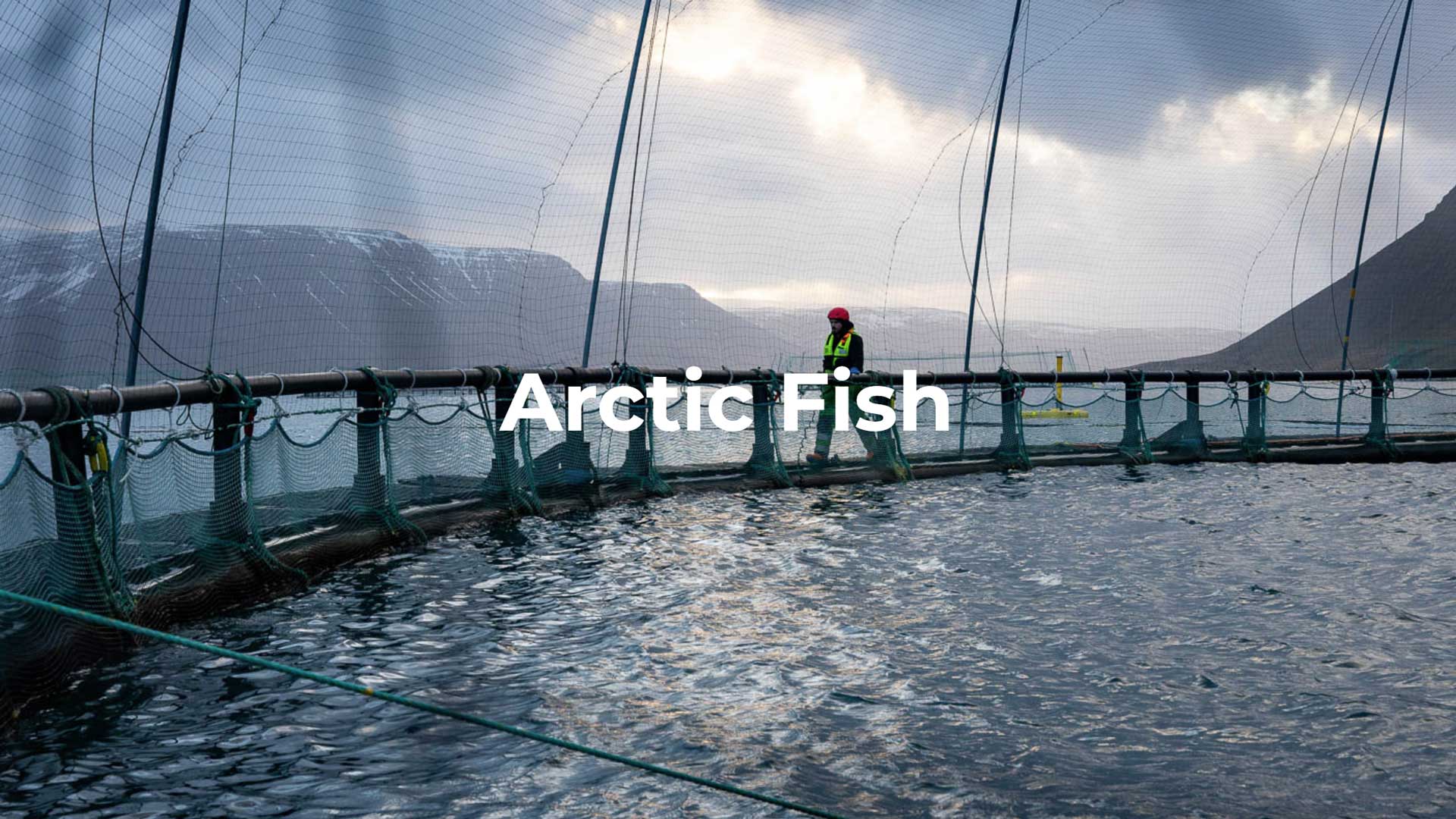 CodeIT - The Traceability Experts