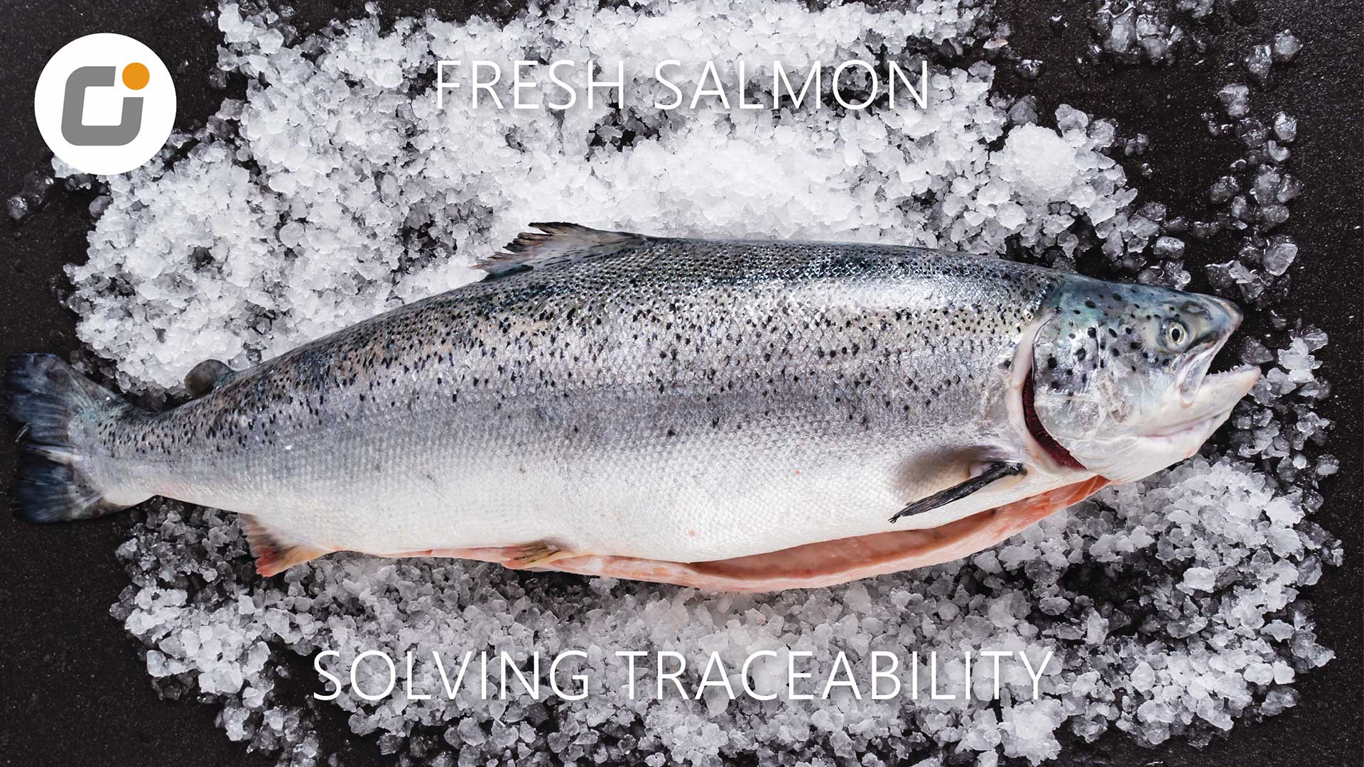 🟠 The CodeIT Fresh Salmon Traceability Solution - Innovative Business Critical Applications ...